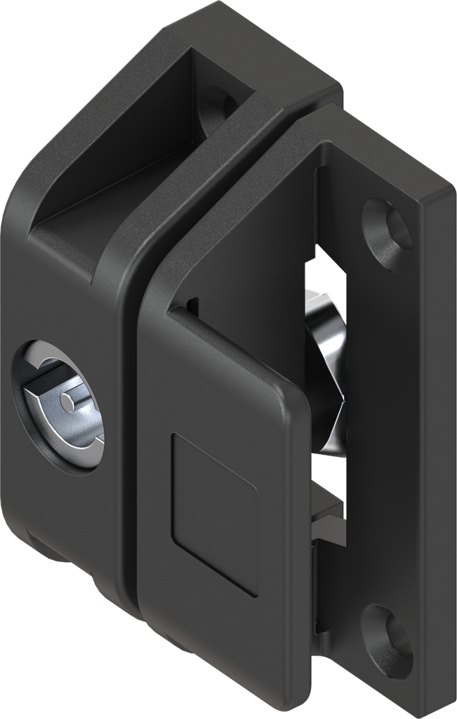 Cam lock with insert double bit 3, Polyamide black; 1076-U9