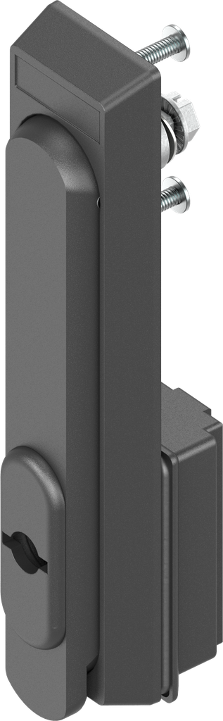 Swinghandle with insert double bit 3, Polyamide GF black; 1125-U236-NA