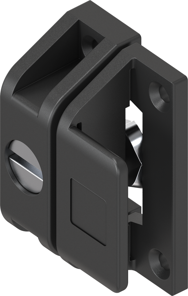 Cam lock with insert slot 2 x 4, Polyamide black; 1076-U12
