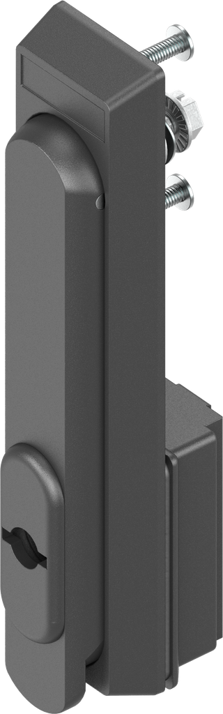 Swinghandle with insert double bit 3, Polyamide GF black; 1125-U236-A